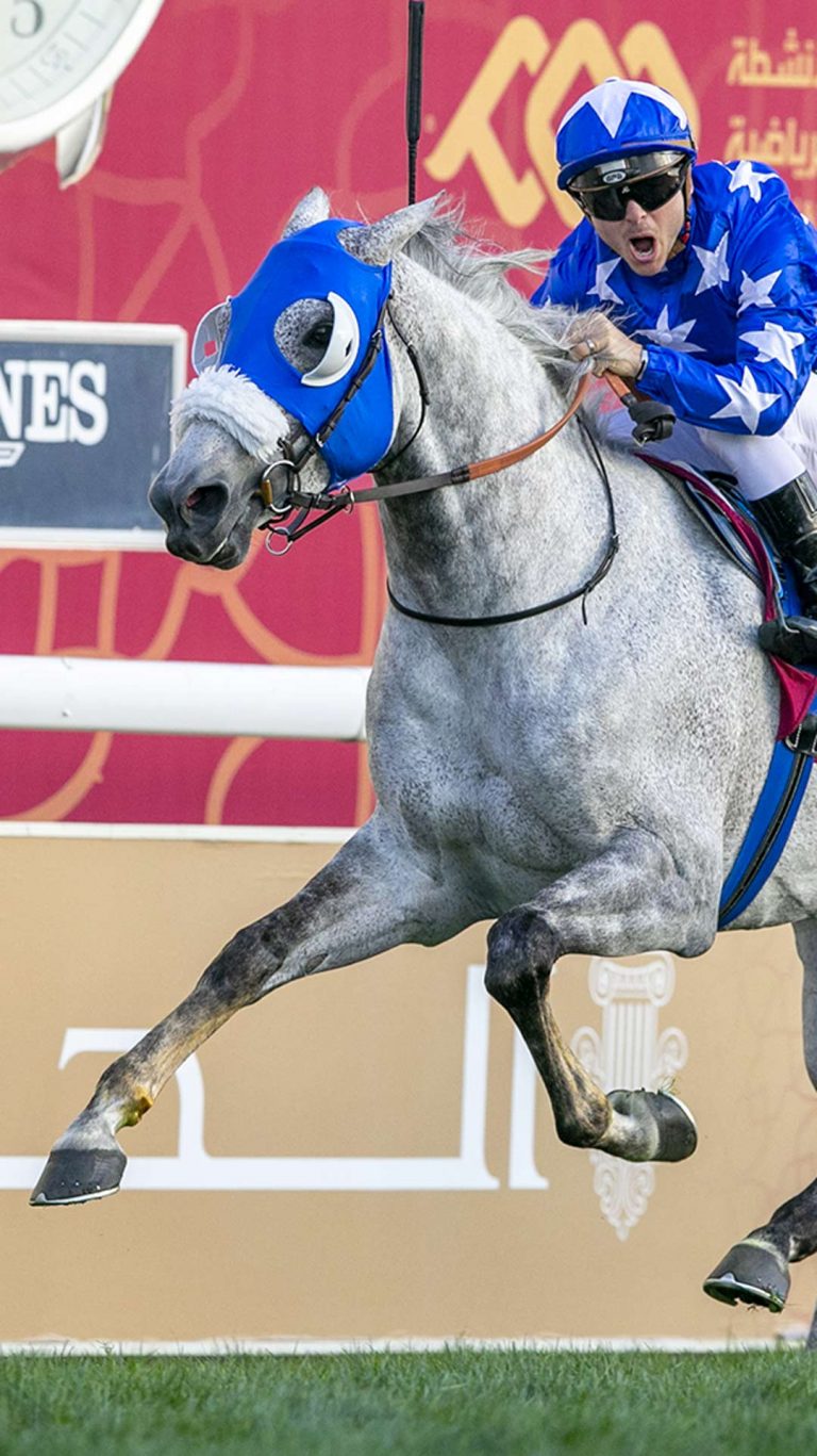 AL SHAHANIA STUD – The Home of Champions