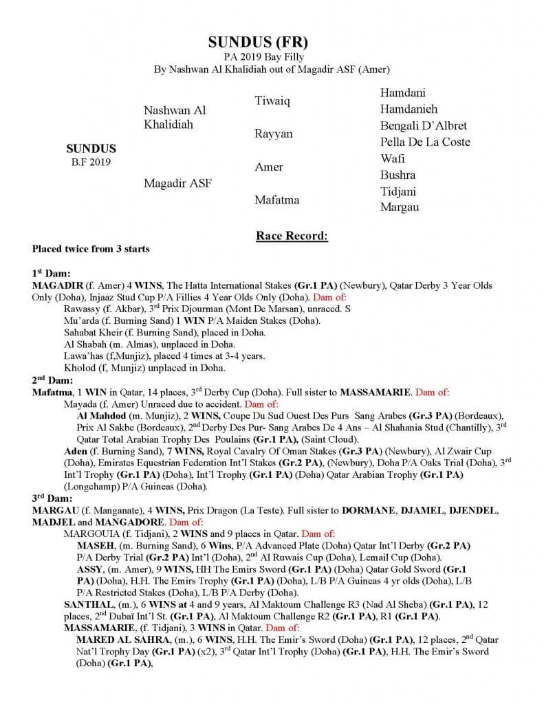 SUNDUS – AL SHAHANIA STUD