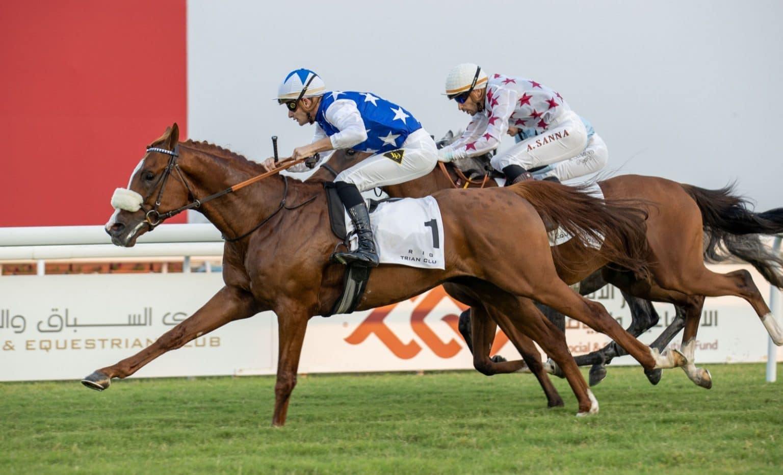 AA FEEL THE BURN – AL SHAHANIA STUD