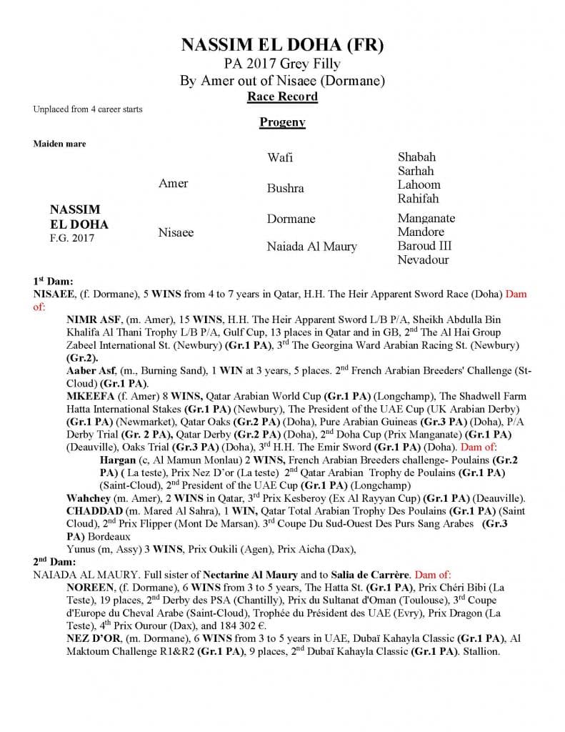 NASSIM EL DOHA (FR) – AL SHAHANIA STUD